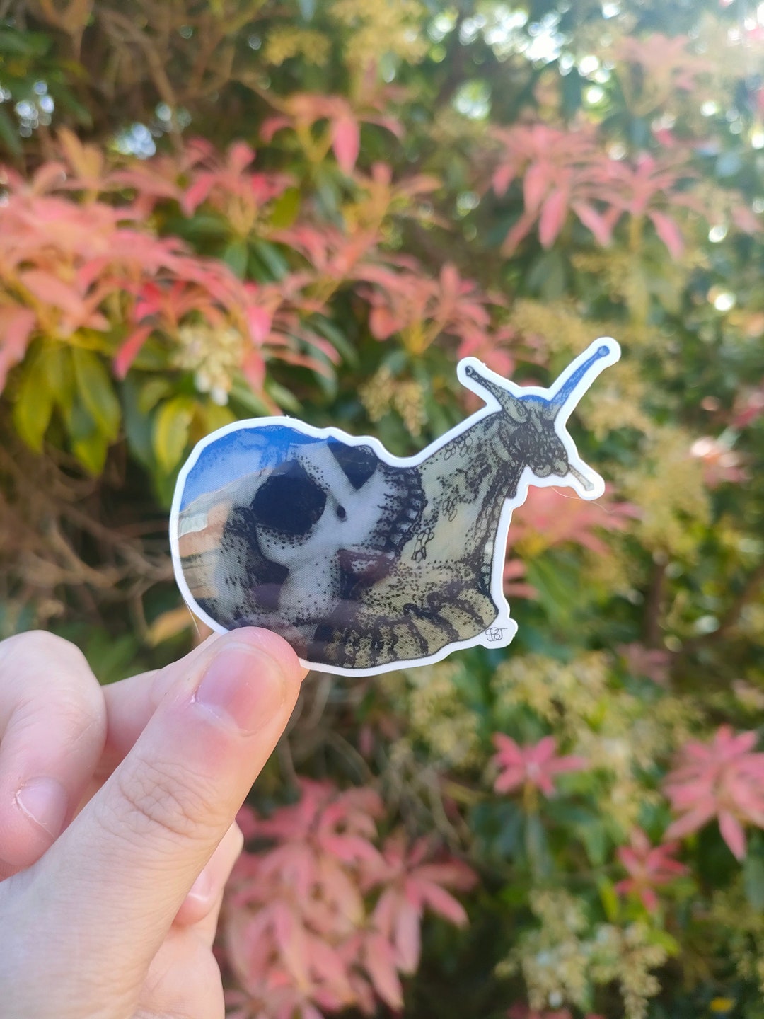 Skull Snail Sticker Vinyl Sticker, Stationary, Sticker, Original Art ...