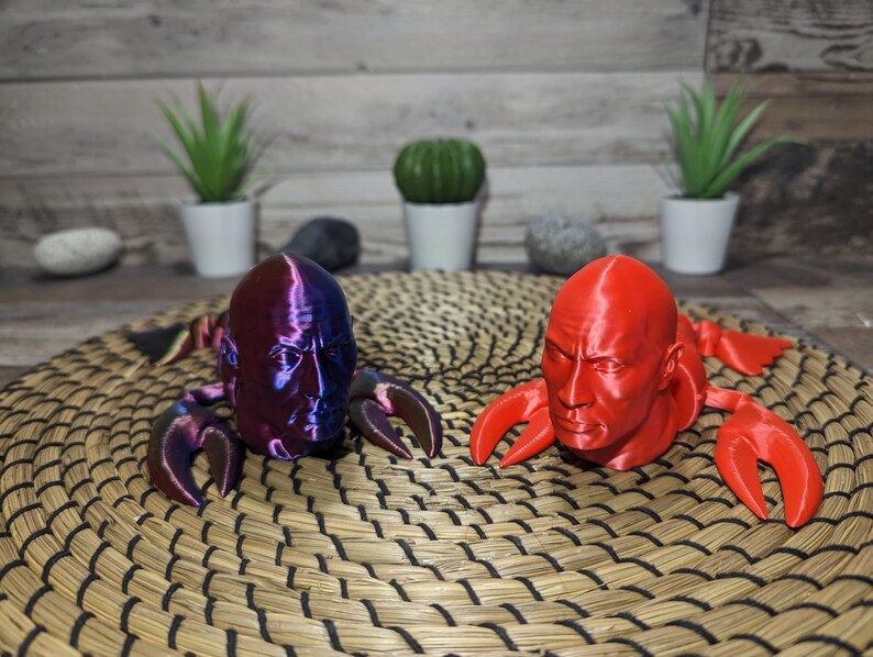 The Robster the Rock Lobster 3D Printed - Etsy