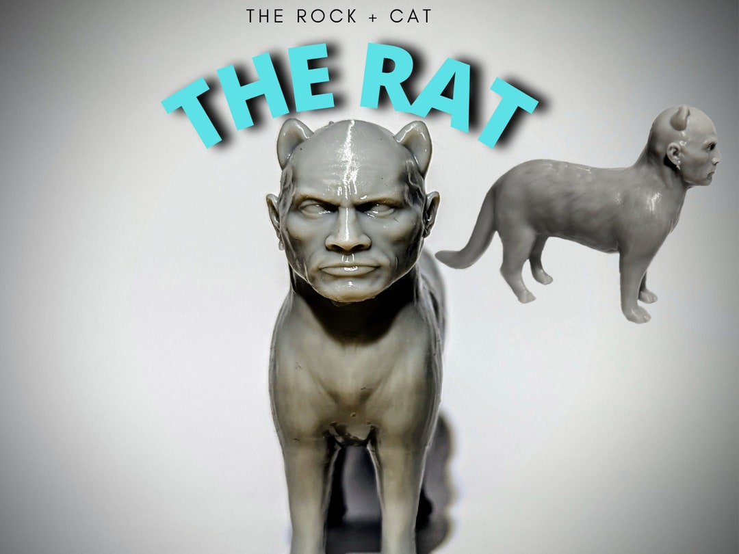 Dwayne Johnson Resin Printed as the Rat (the Rock + Cat) - Etsy