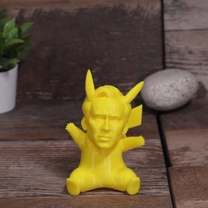Unique Nic Cage Pokemon Figures - Pikachu, Squirtle, Eevee, Charmander ...