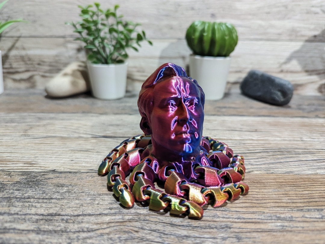 Nicolas Cage Octopus Fidget Toy Gift for Boy Birthday Home Decor Funny ...