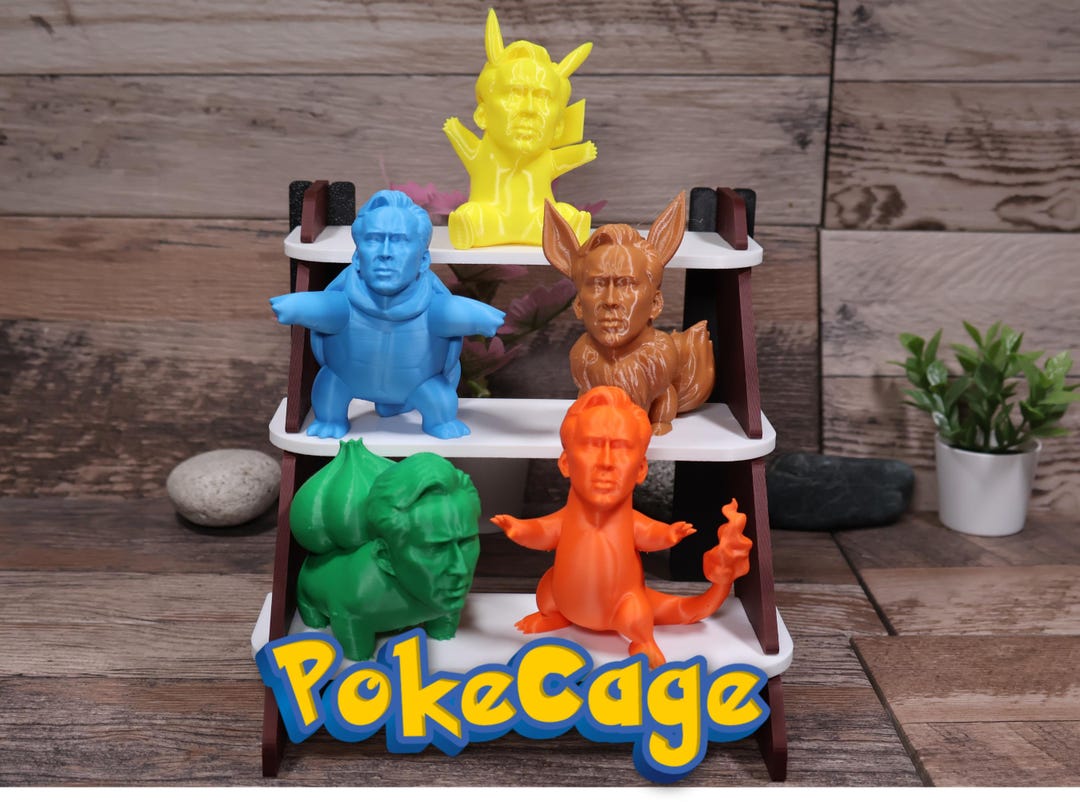 Unique Nic Cage Pokemon Figures - Pikachu, Squirtle, Eevee, Charmander ...