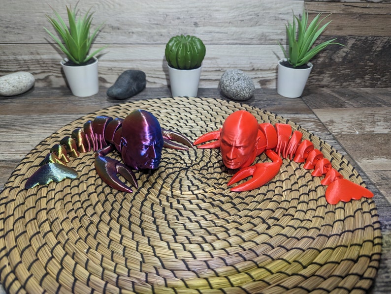 The Robster the Rock Lobster 3D Printed - Etsy