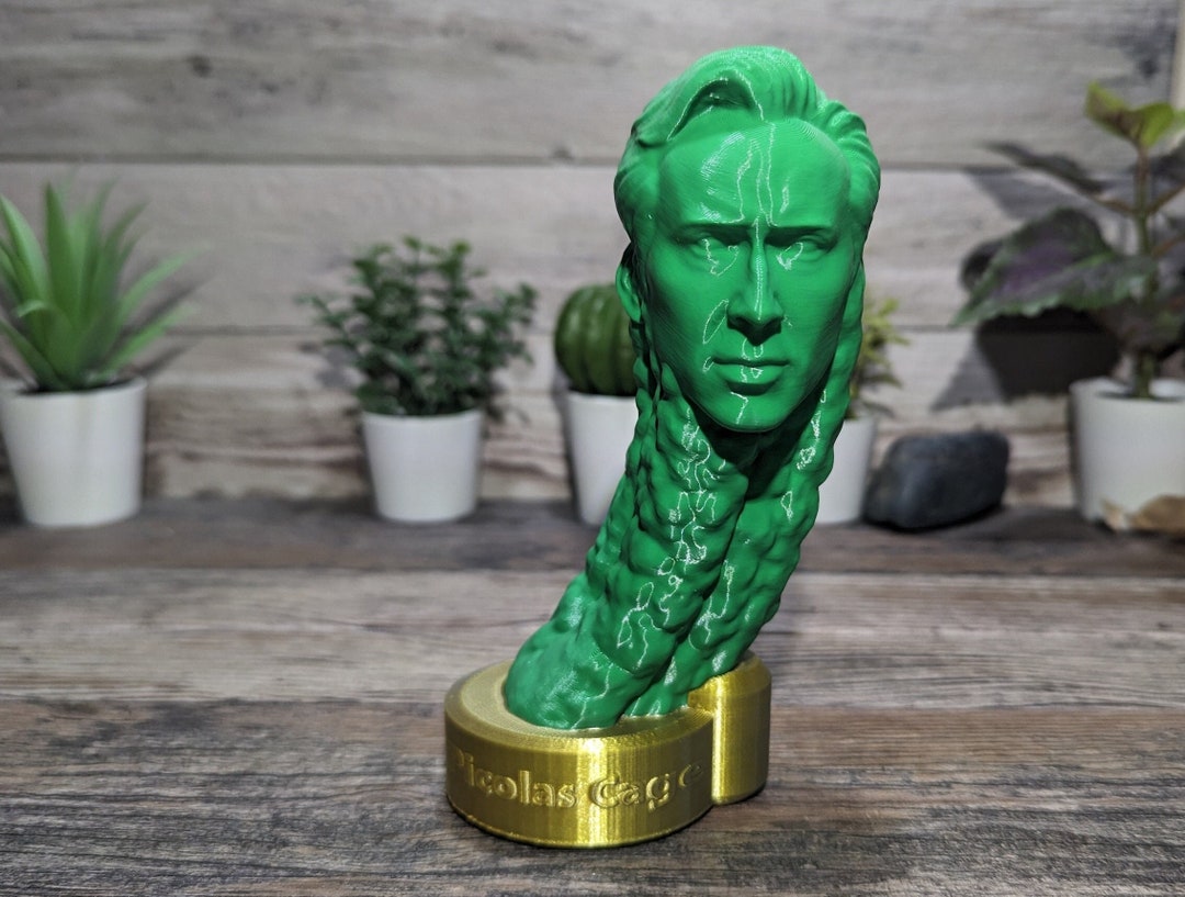 Nicolas Cage as Picolas Cage Statue Home Decor Nic Cage Print Weird ...