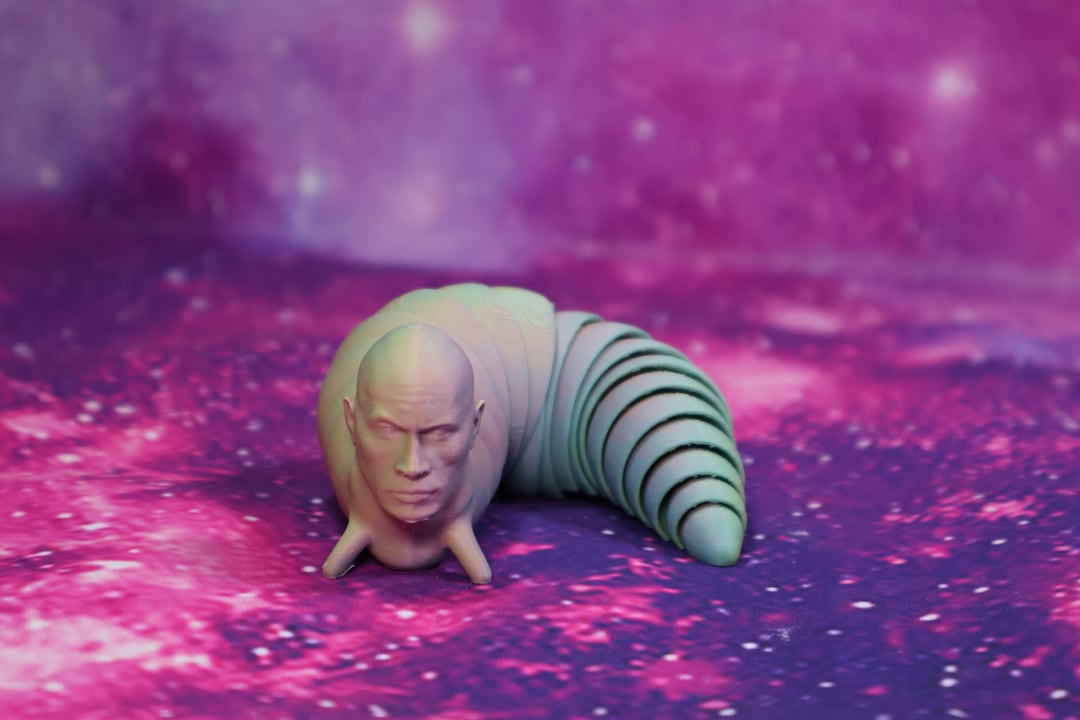 Dwayne 'the Rock' Johnson Slug: 3D Printed Articulating Toy - Etsy
