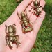 Copper Critters | Copper Bugs | Copper Animals | Miniature | Mini ...
