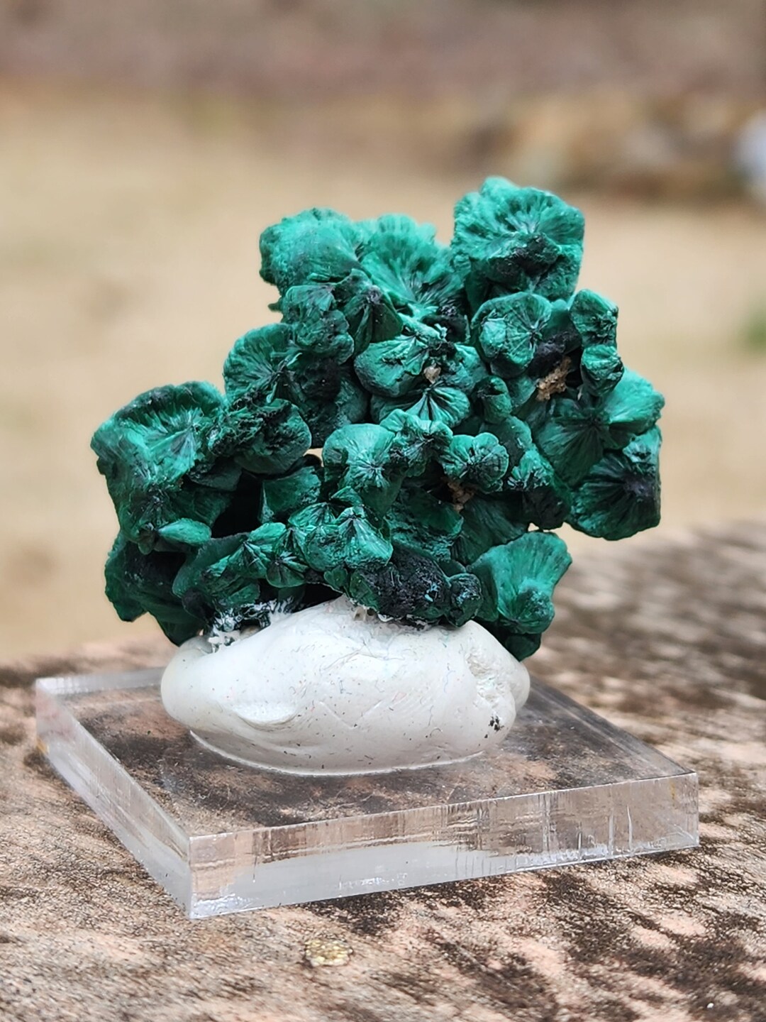 Silky Velvet Malachite Specimen With Museum Putty and Display | Velvety ...