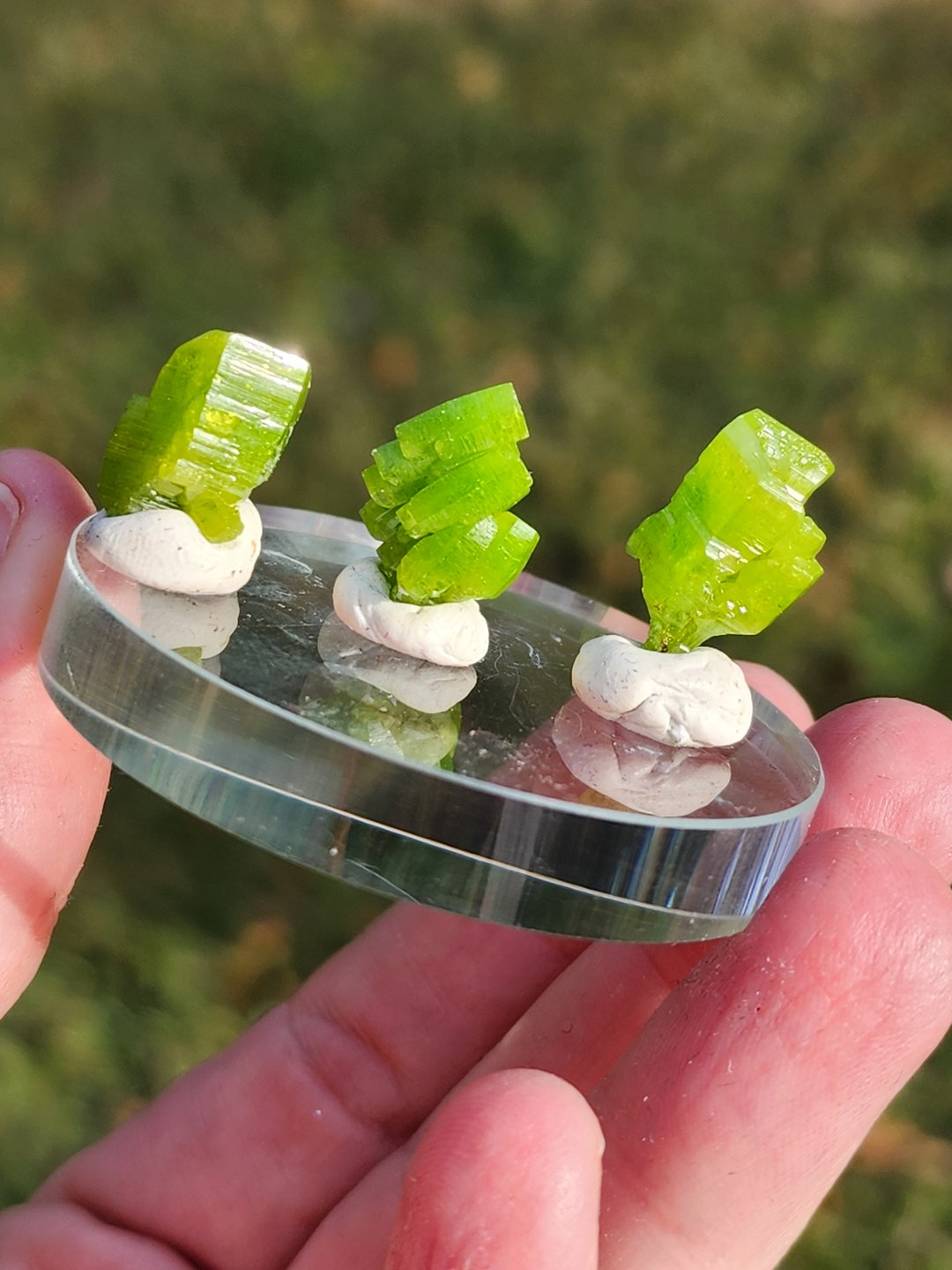 Pyromorphite Specimen With Plastic Display Tray - Etsy