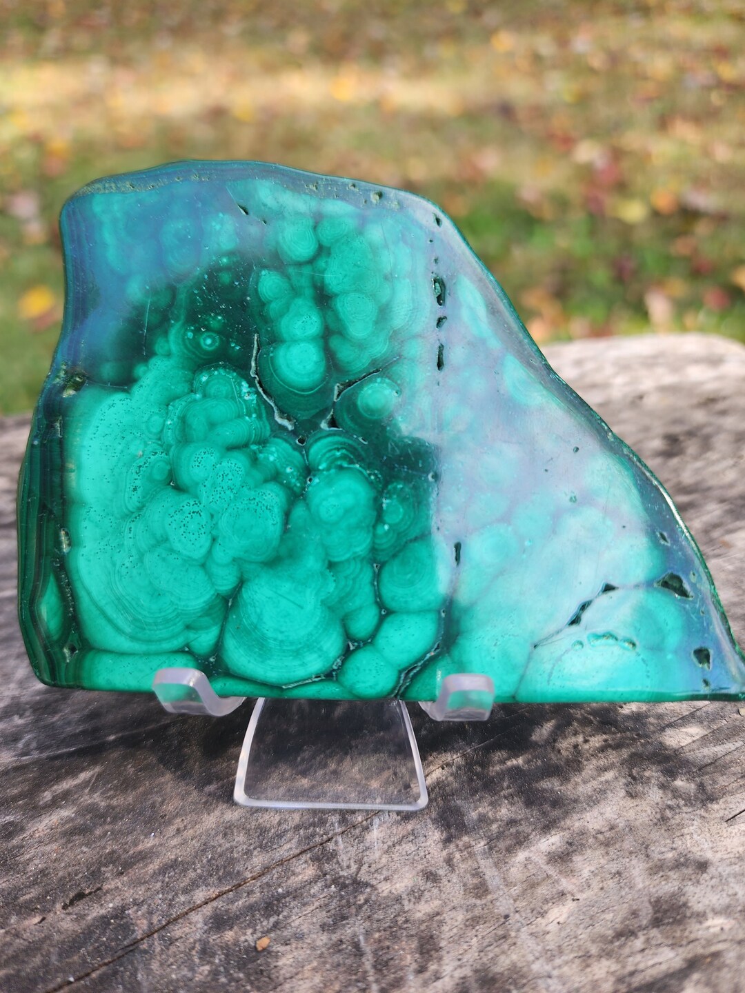 Malachite Slab With Plastic Display Stand - Etsy