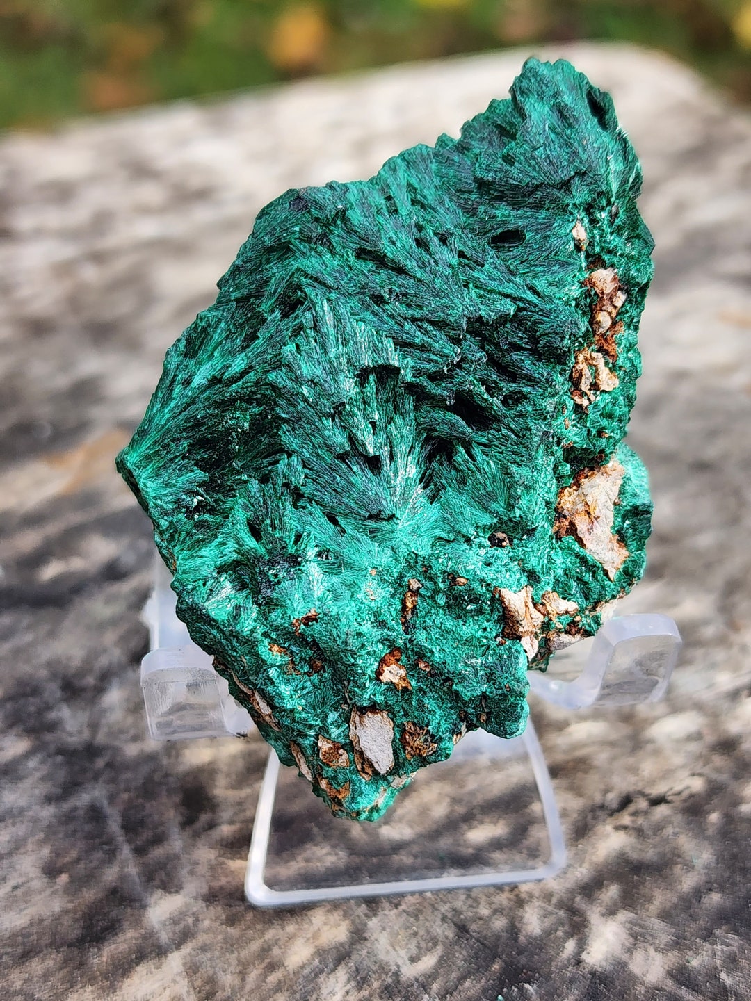 Sparkly Fibrous Malachite Specimen With Plastic Display Stand | 3.7 ...
