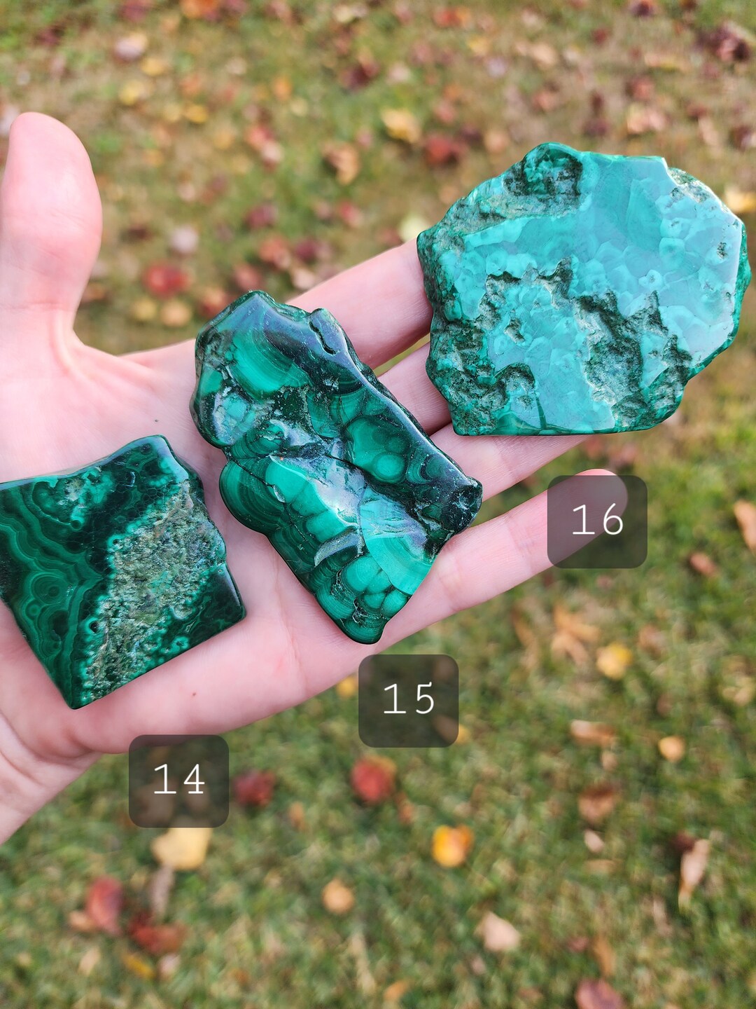 Malachite Slab With Plastic Display Stand - Etsy