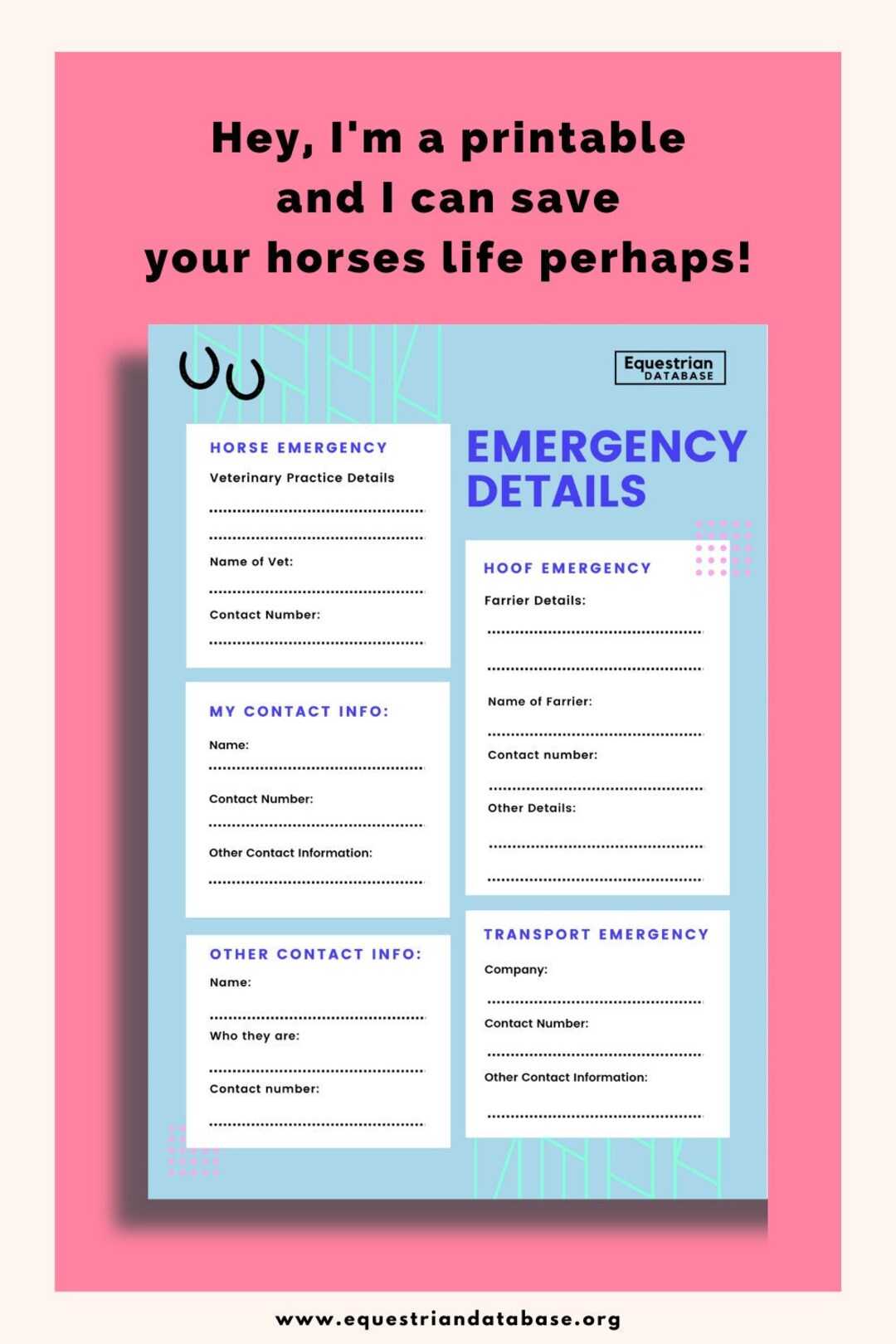 Equestrian Emergency Form A4 Printable Download - Etsy