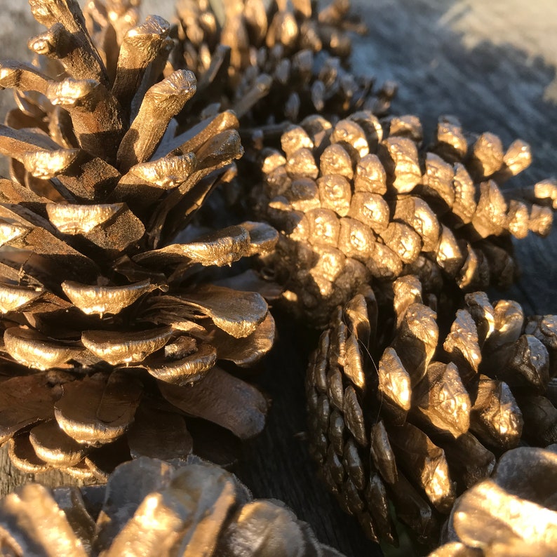 10 Golden Pine Cones, Decorative Material, Christmas Decorations ...