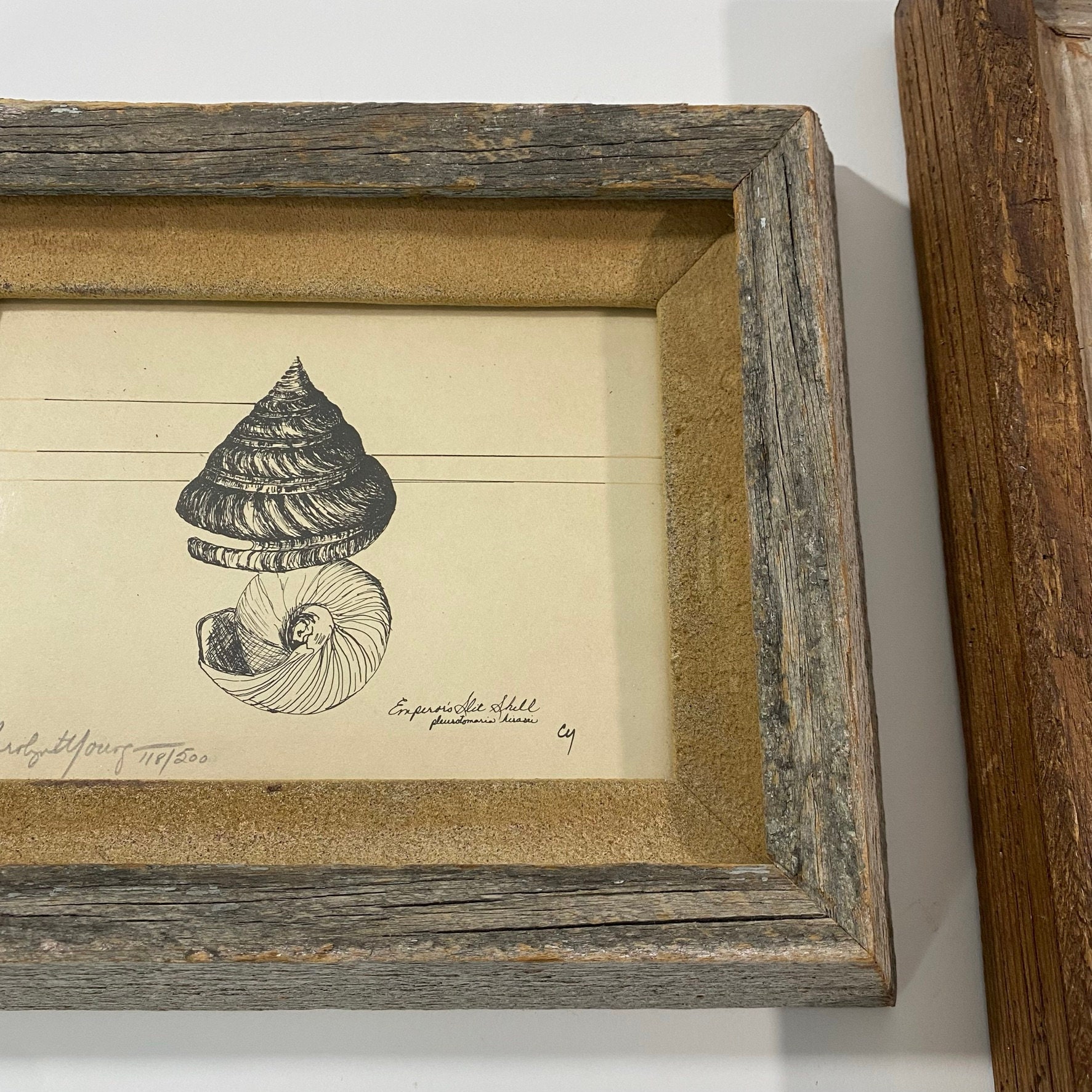 Vintage Nautical Prints in 1871 Antique Wood Frame Set Signed - Etsy