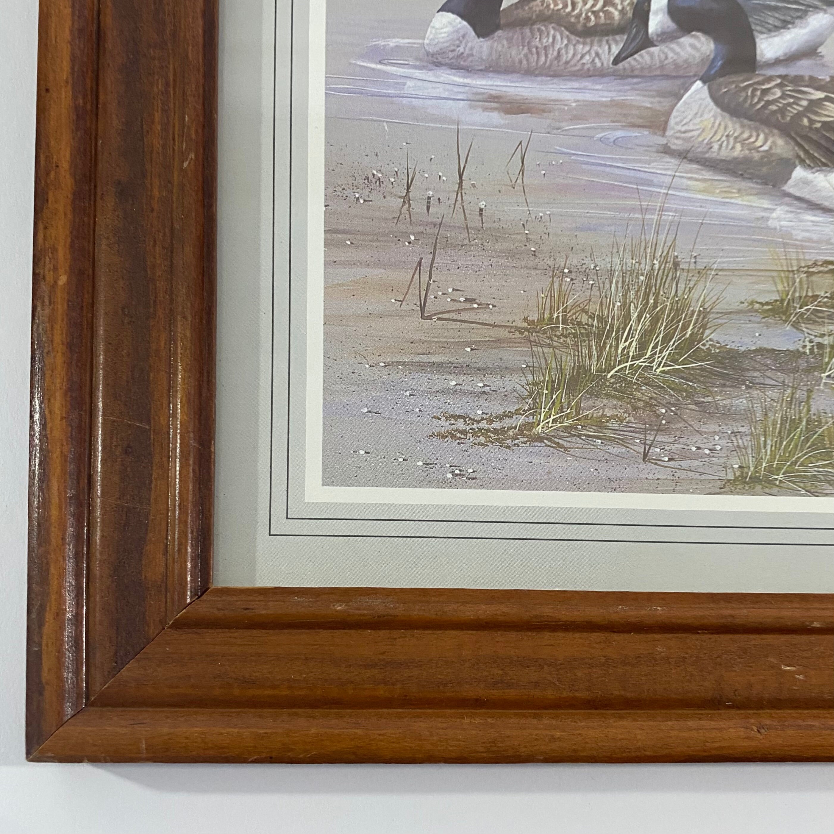 1985 Anni Moller Canadian Geese Art Print Framed Canada Goose - Etsy