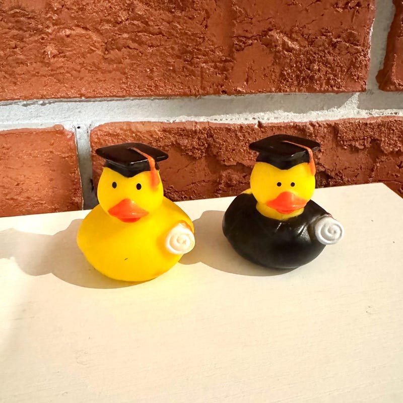 Graduation Rubber Ducks - Etsy