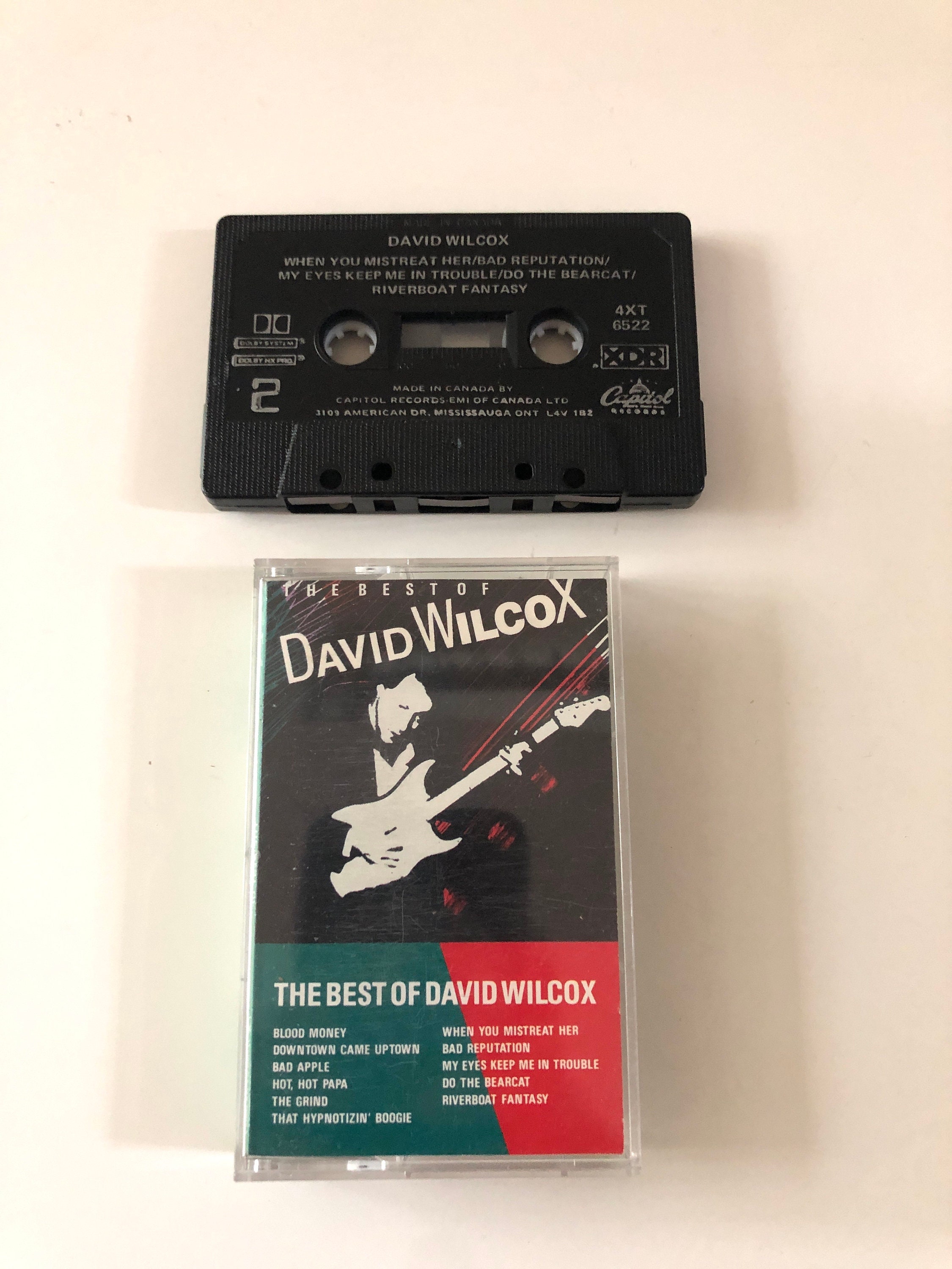 David Wilcox Canadian