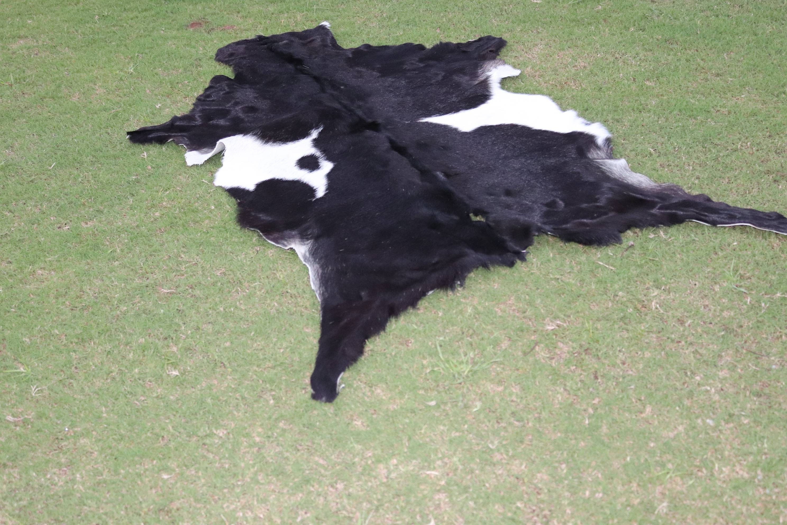Black and White Goatskin Rug Goat Skin Pelt Soft Goat Hide - Etsy