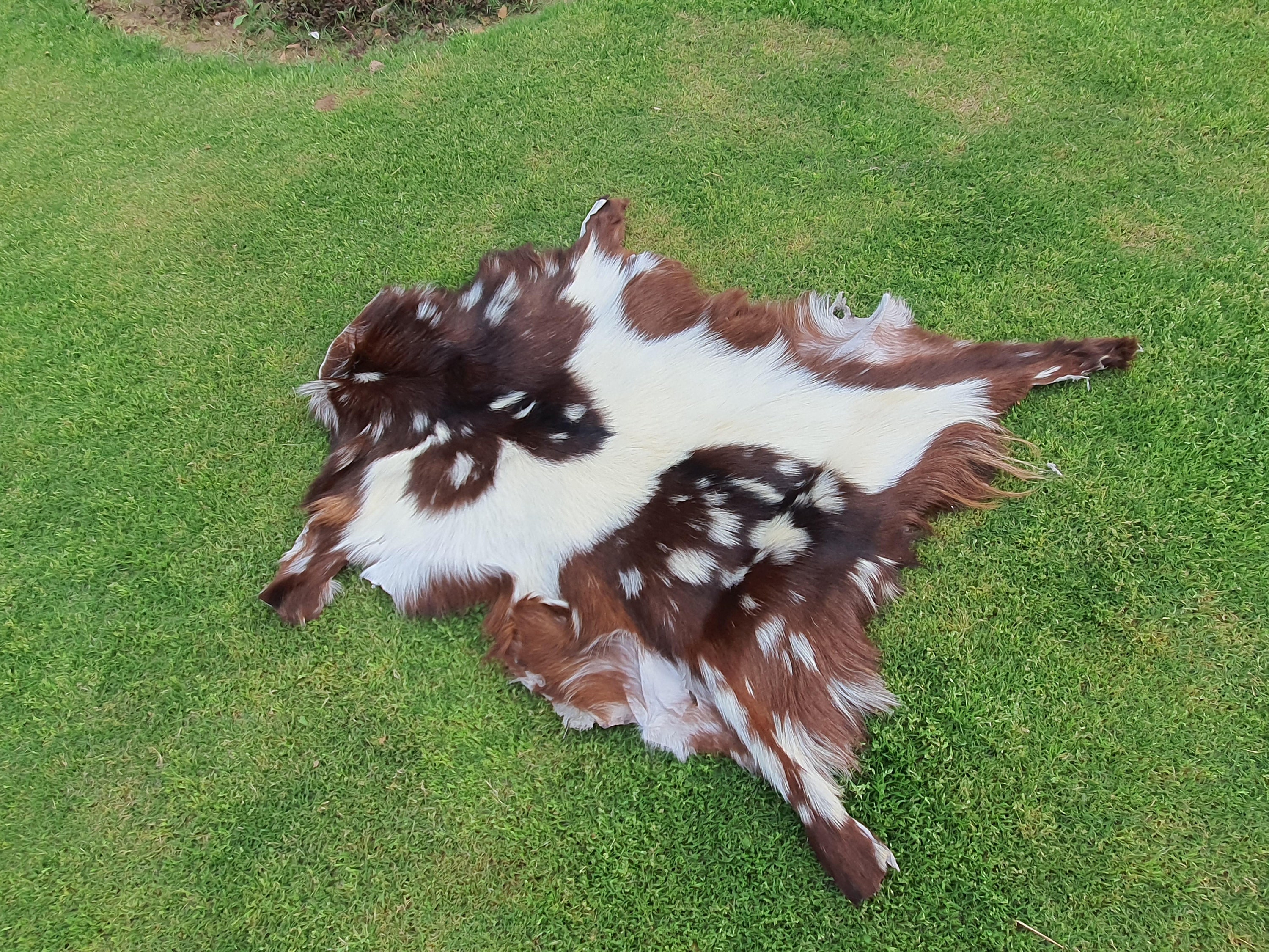 Original Goatskin Hide Brown Goat Skin Rug Goatskin Pelt - Etsy