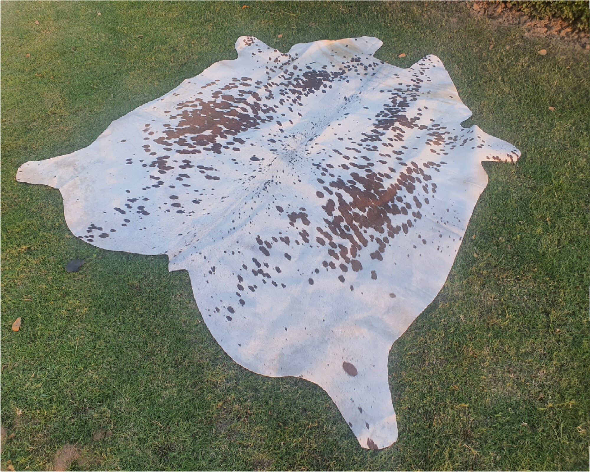 Real Cowhide Rug Brown and White Cow Hide Rug-leather - Etsy