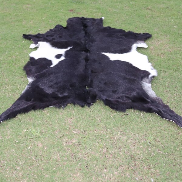 Real Animal Skin - Etsy