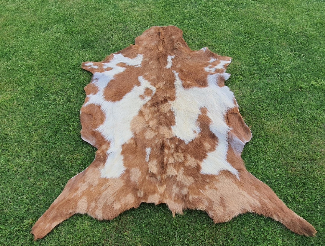 Genuine Brown Goatskin Hide, Brown & White Goat Skin Rug, Goatskin Pelt ...