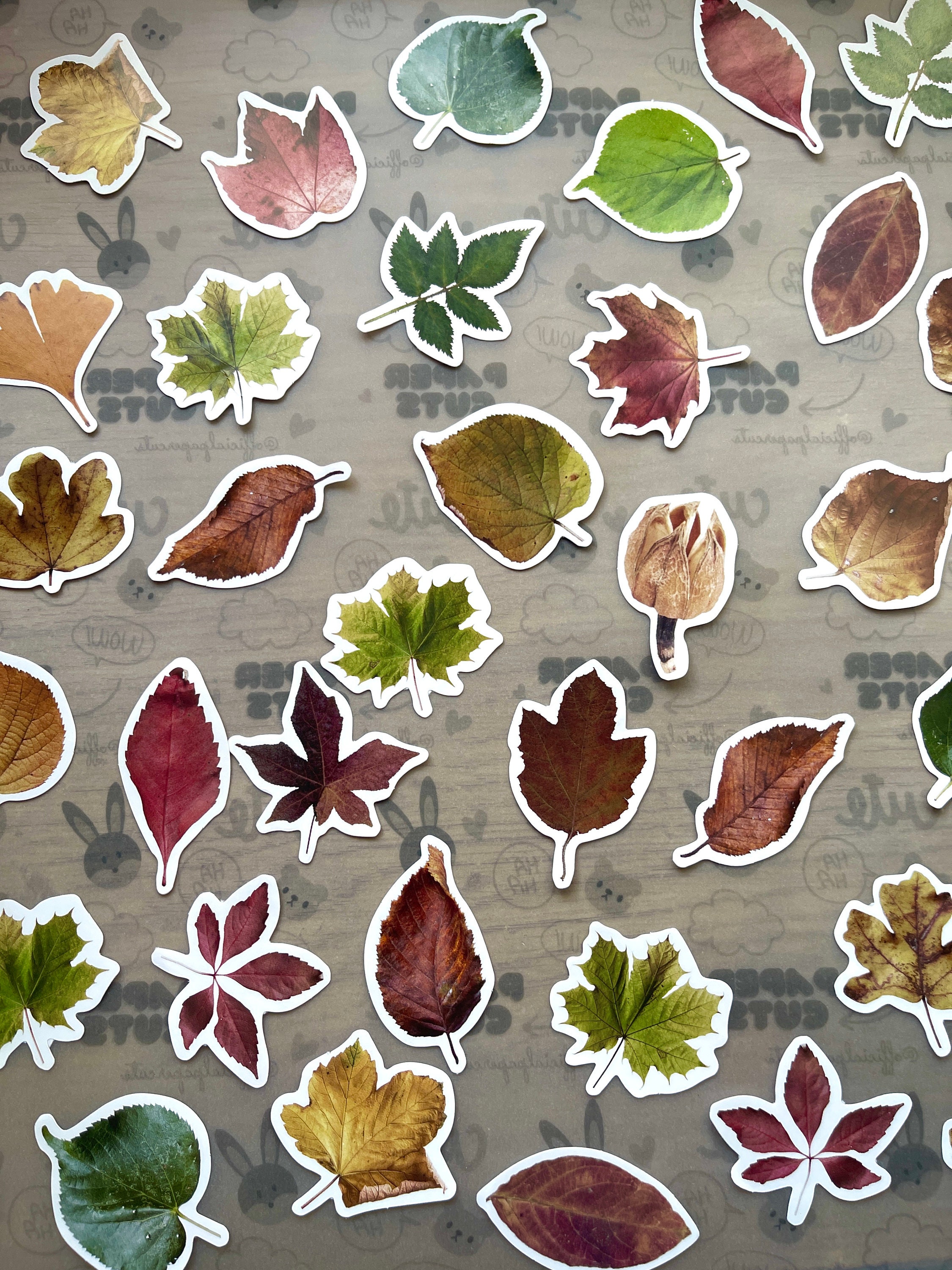 46pcs sticker pack Vintage cute aesthetic stickers flowers floral ...