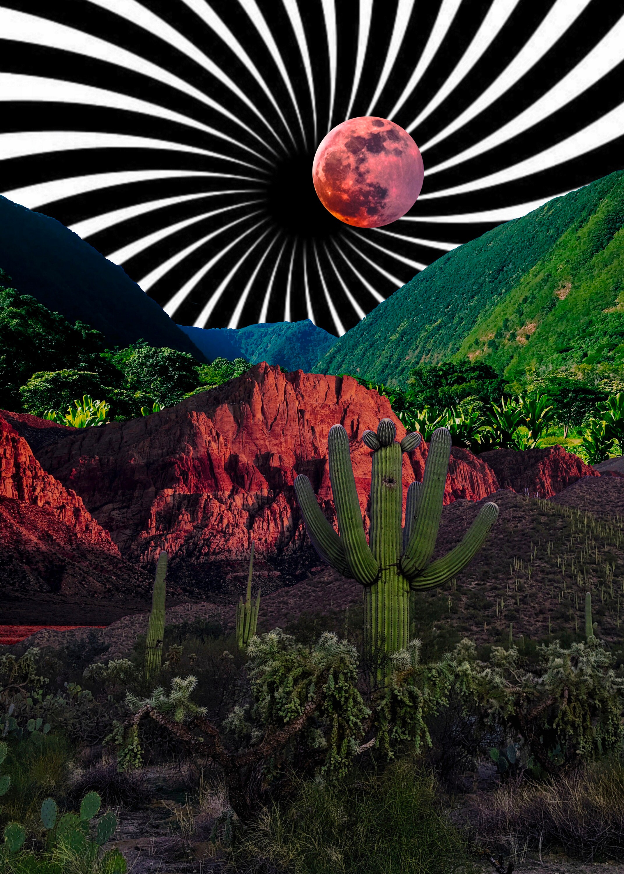 Spacey Surreal Collage Art Print - Etsy