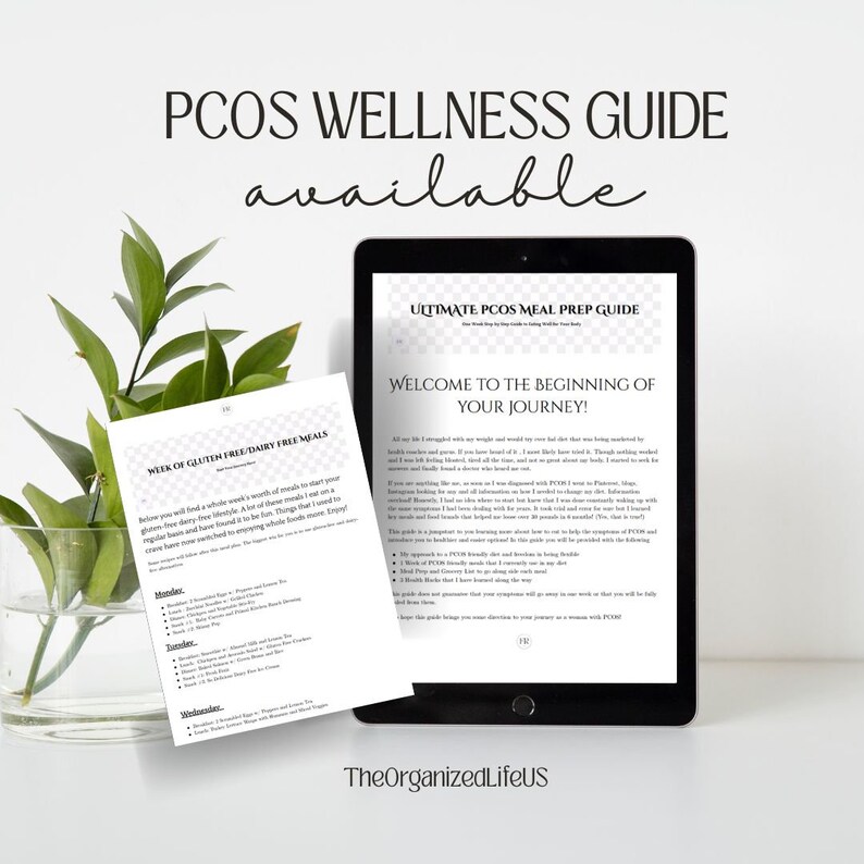 Ultimate PCOS Meal Prep Guide - Etsy