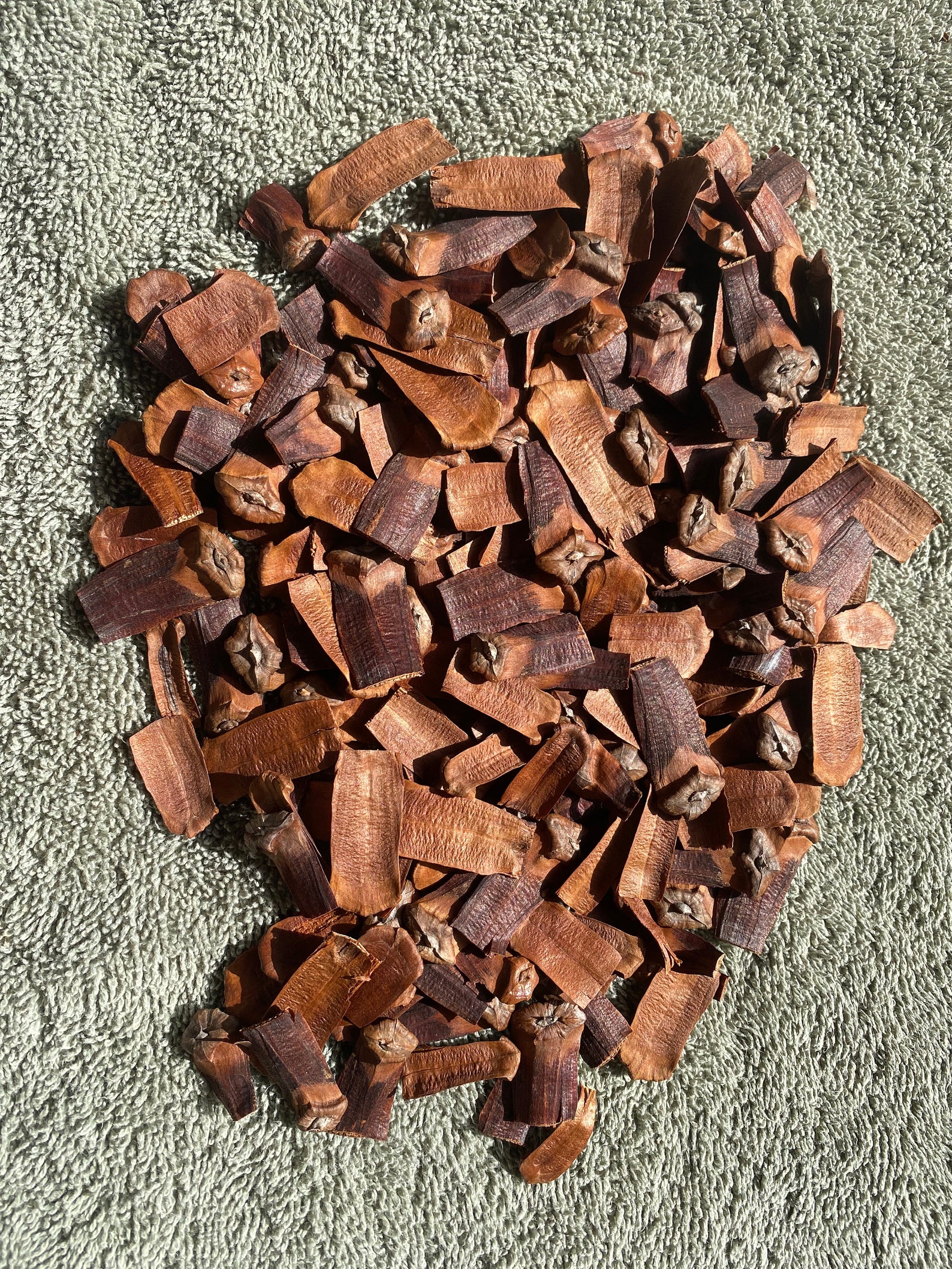 Pine Cone Scales - Etsy