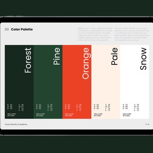 Brand Guidelines Template Adobe Indesign Template Brand Style Guide ...
