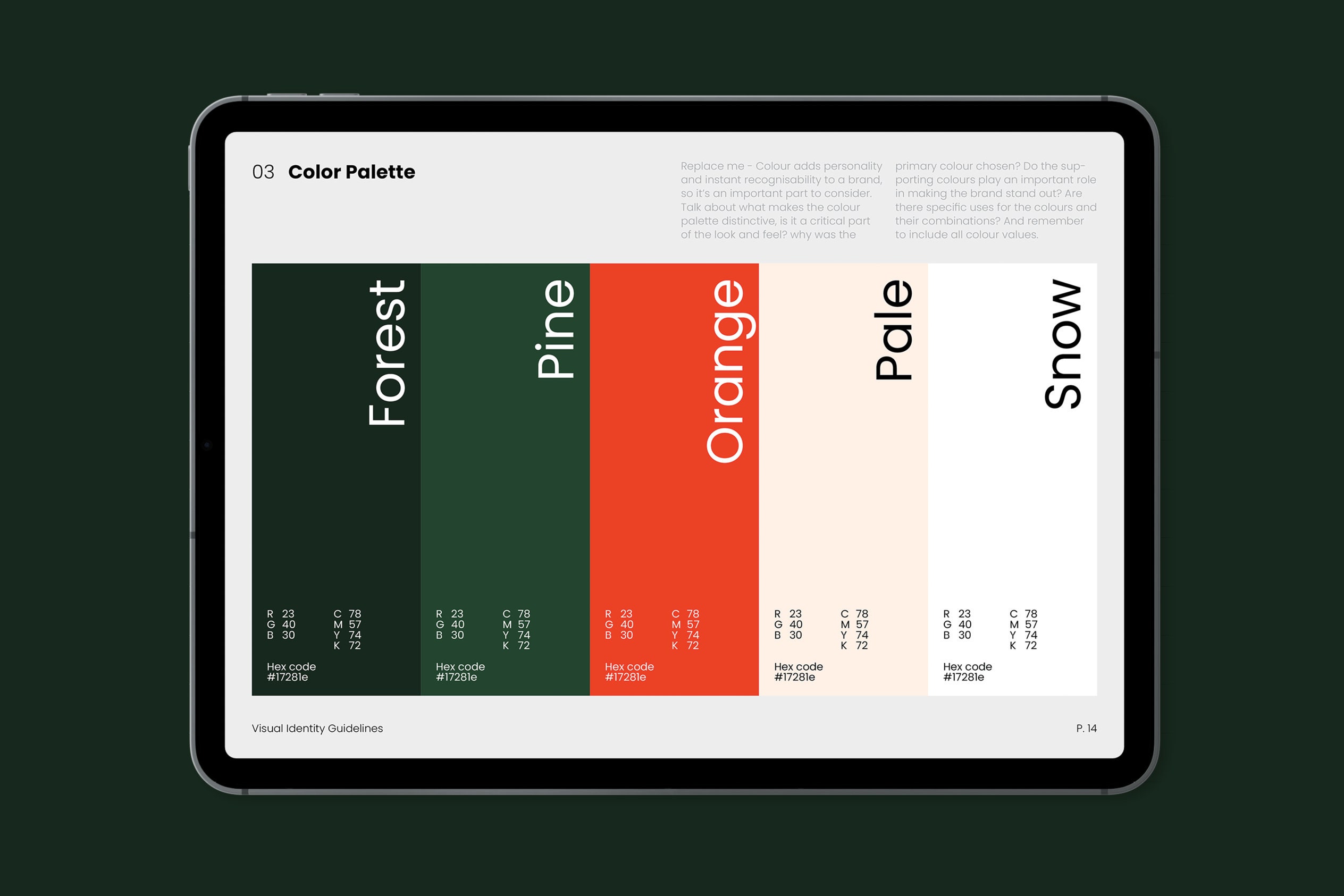 Brand Guidelines Template Adobe Indesign Template Brand Style Guide ...