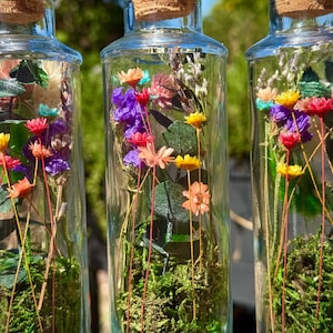 Wildflower Meadow Terrarium: Dried Flowers - Bookshelf & Desk Decor ...