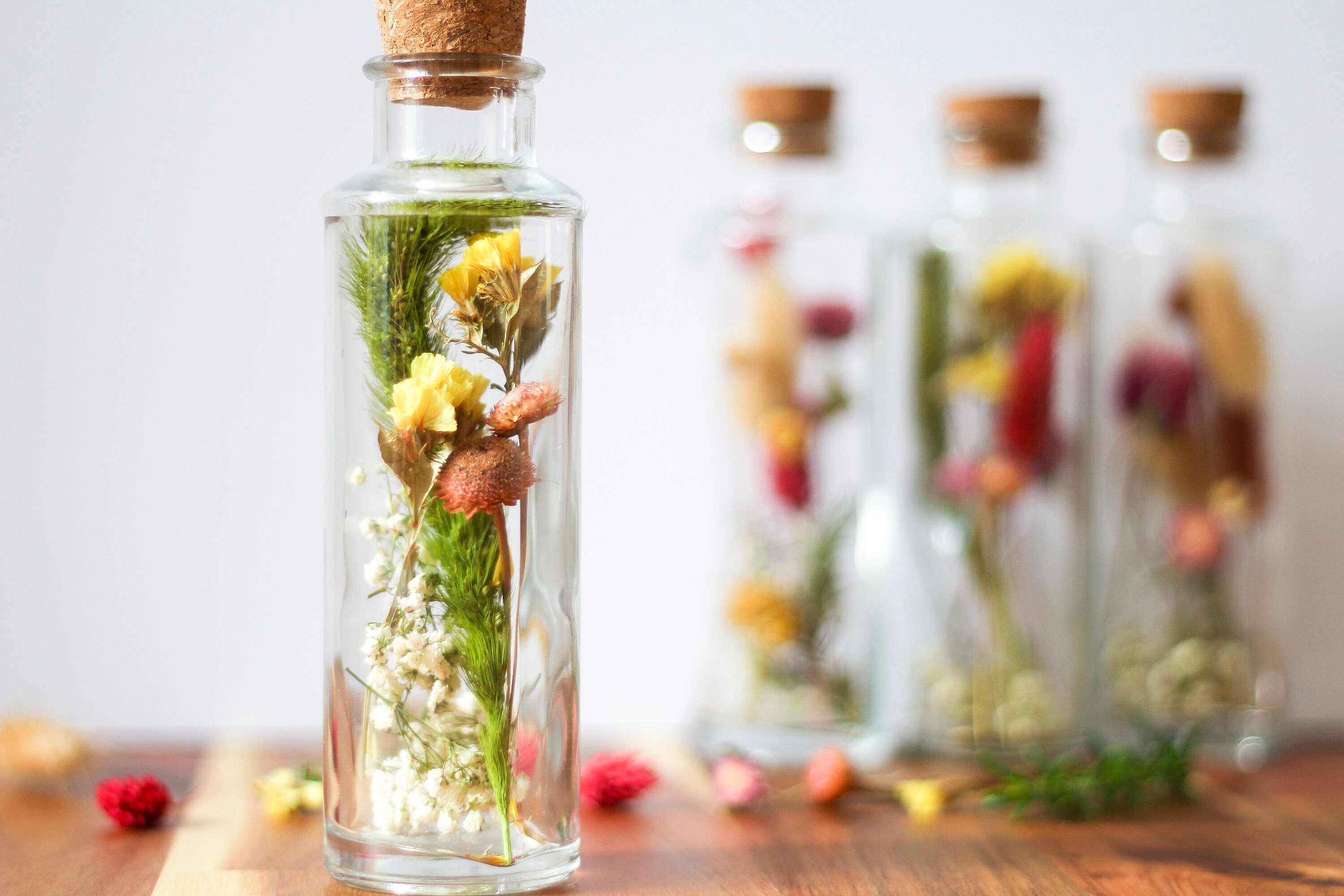 Wildflower Meadow Terrarium - Dried Flowers, Bookshelf & Party Decor ...