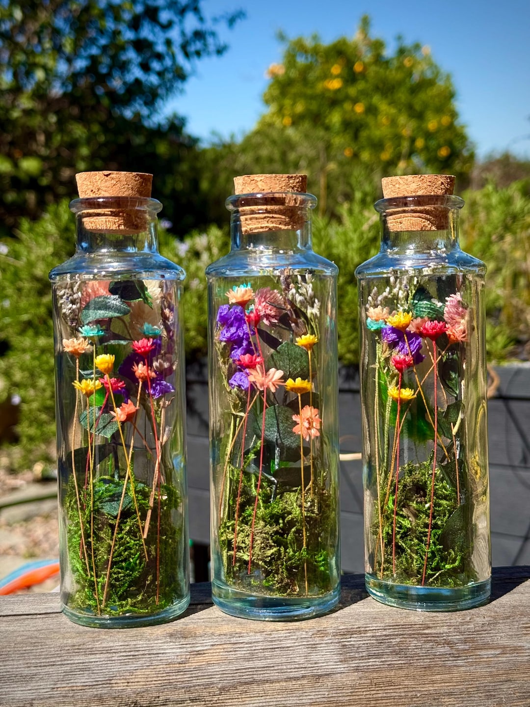 Wildflower Meadow Terrarium: Dried Flowers - Bookshelf & Desk Decor ...