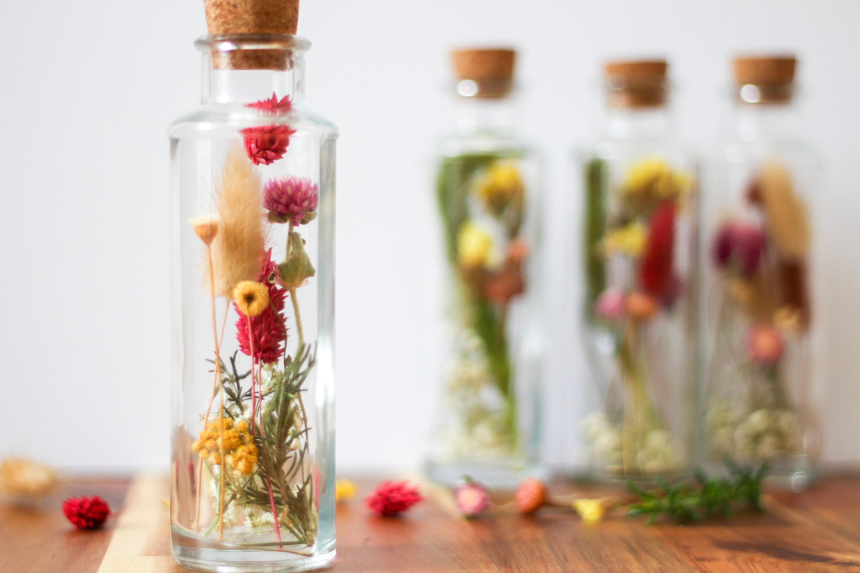 Wildflower Meadow Terrarium - Dried Flowers, Bookshelf & Party Decor ...