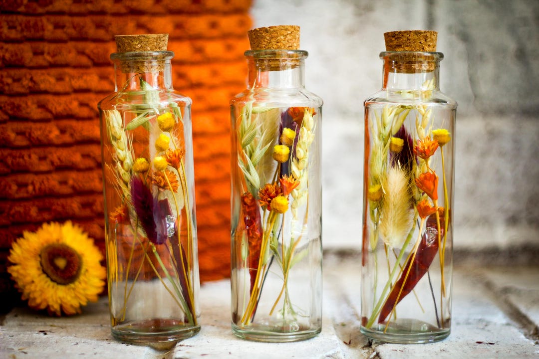 Fall Apothecary Jars Botanical Glass Vials Flower Decor I Mini Dried ...