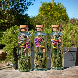 Wildflower Meadow Terrarium: Dried Flowers - Bookshelf & Desk Decor ...
