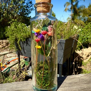 Wildflower Meadow Terrarium: Dried Flowers - Bookshelf & Desk Decor ...