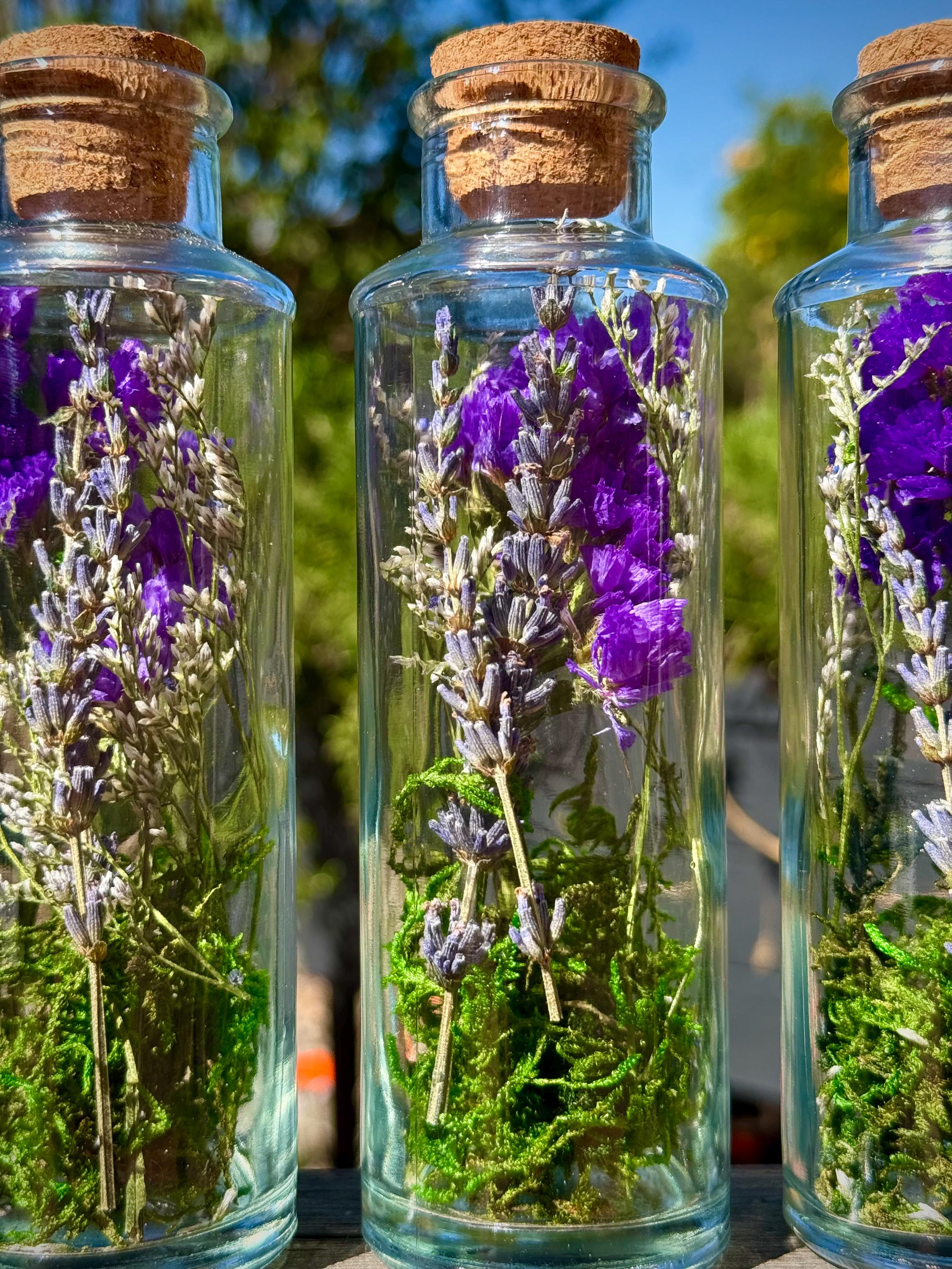 Lavender Field Terrarium: Dried Flowers - Bookshelf & Desk Decor ...