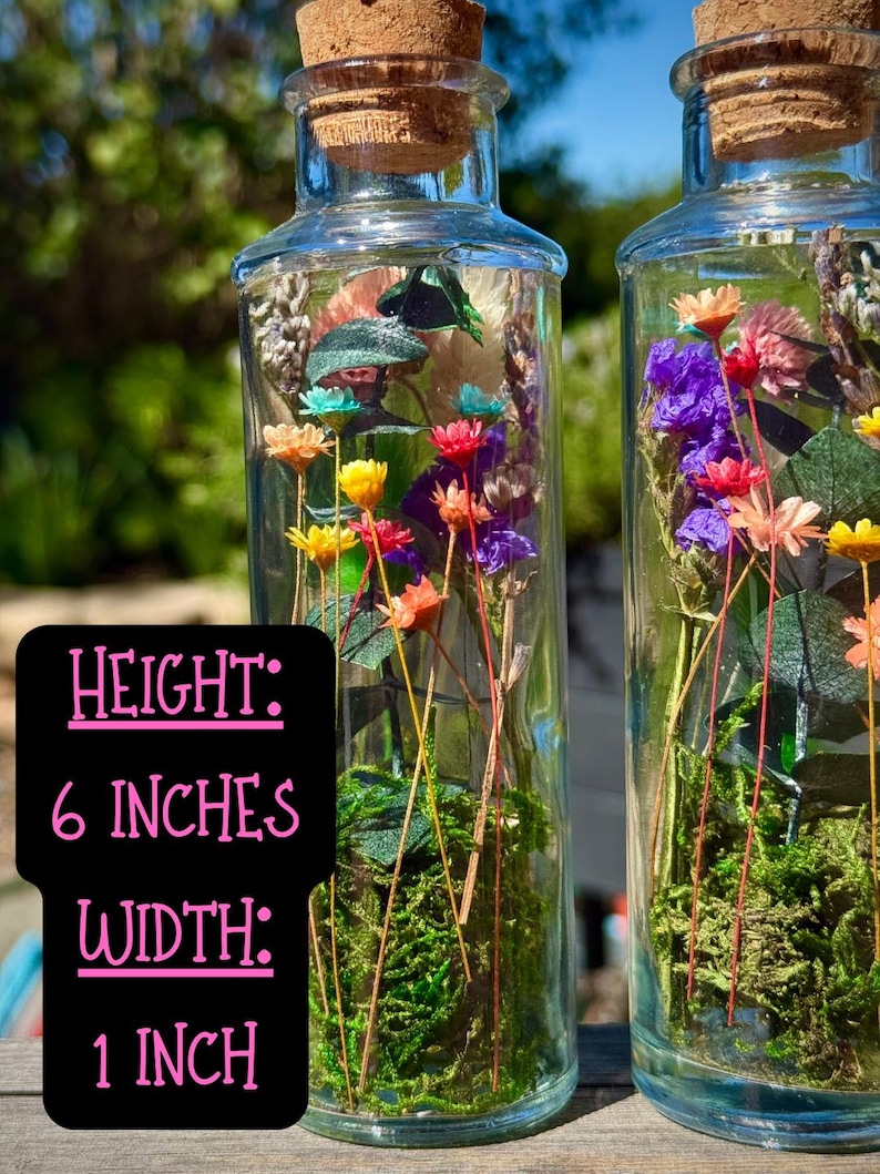 Wildflower Meadow Terrarium: Dried Flowers - Bookshelf & Desk Decor ...