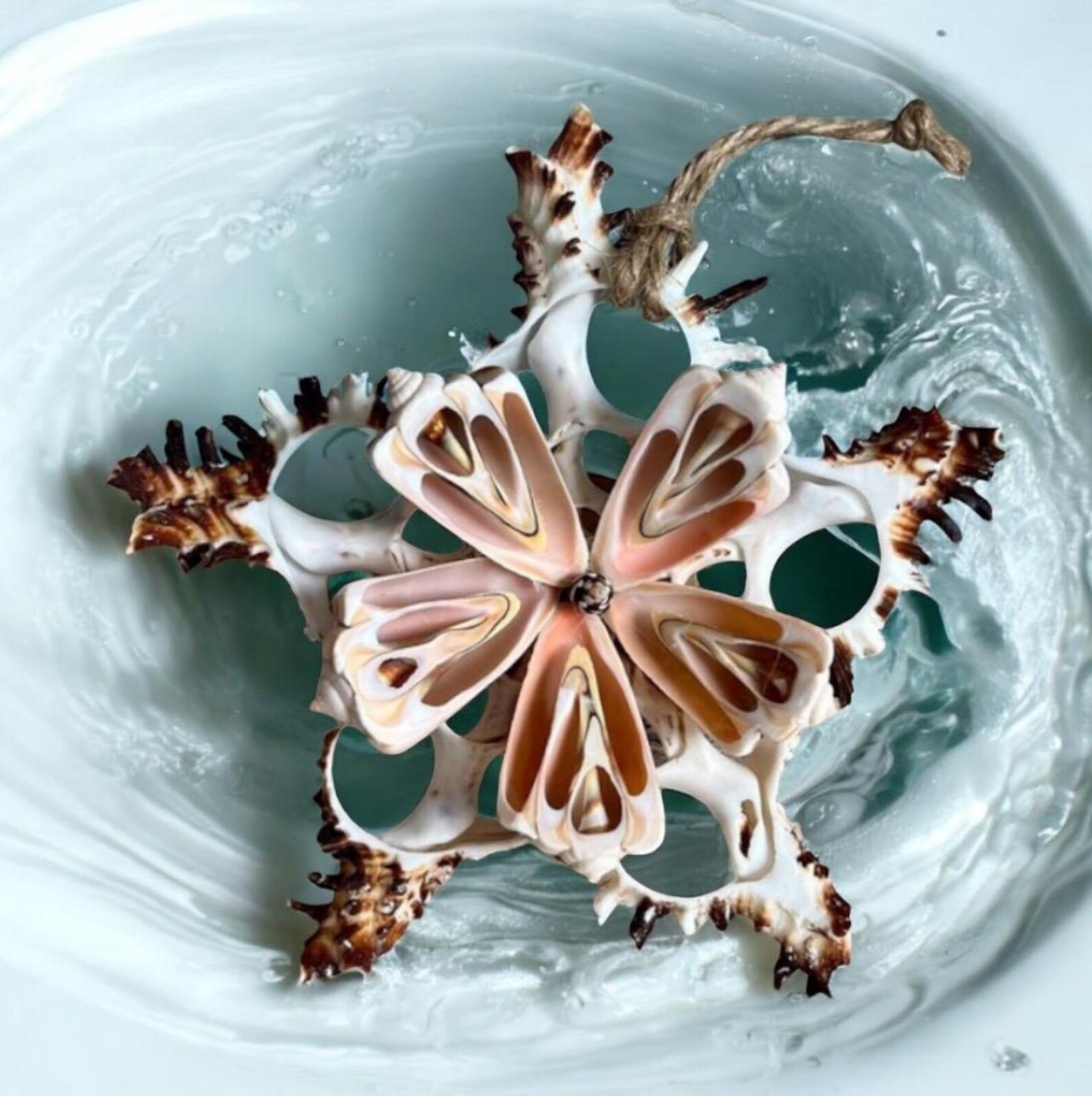 Coastal Seashell Snowflake Star Ornament "cruella" - Etsy