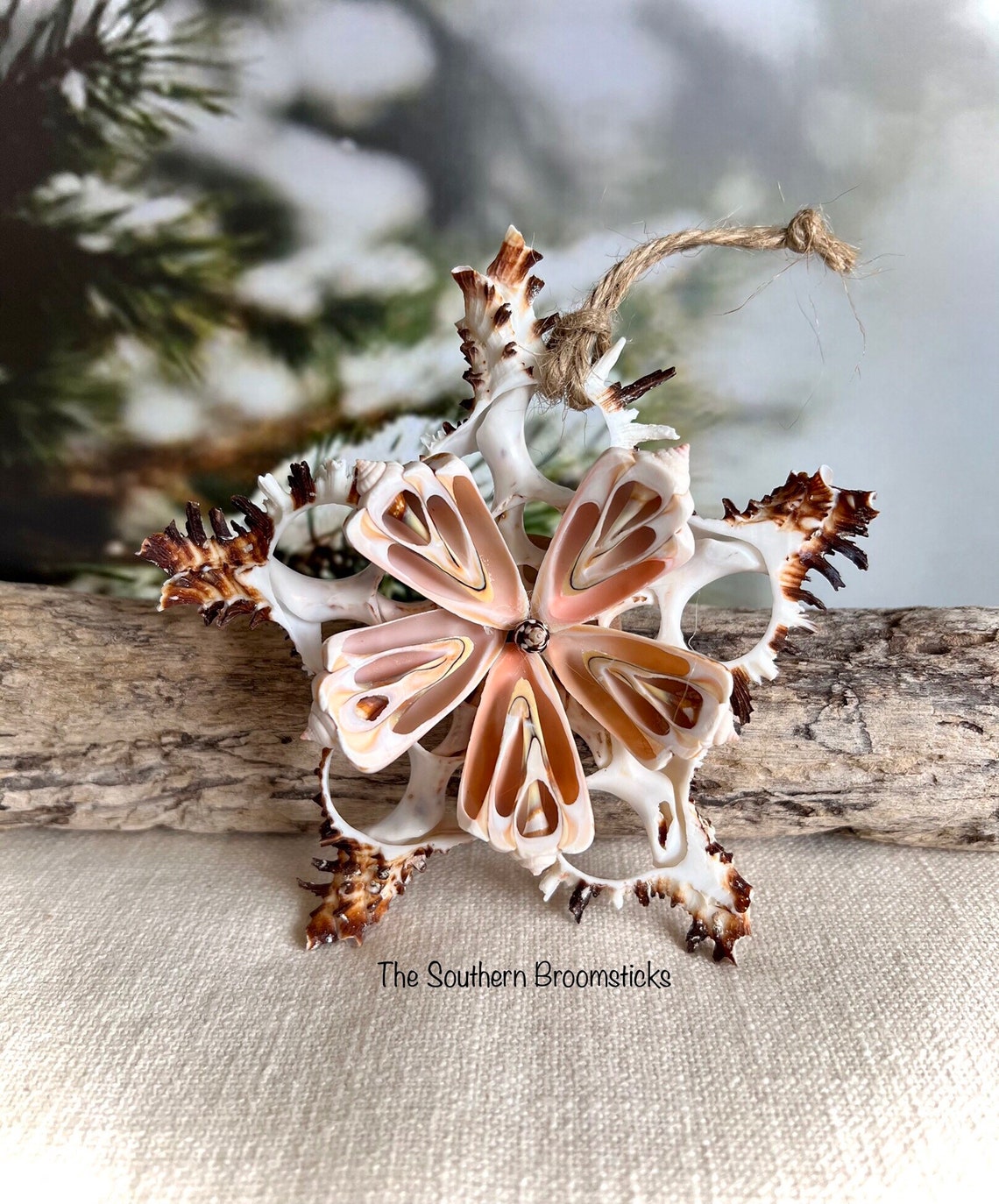 Coastal Seashell Snowflake Star Ornament "cruella" - Etsy