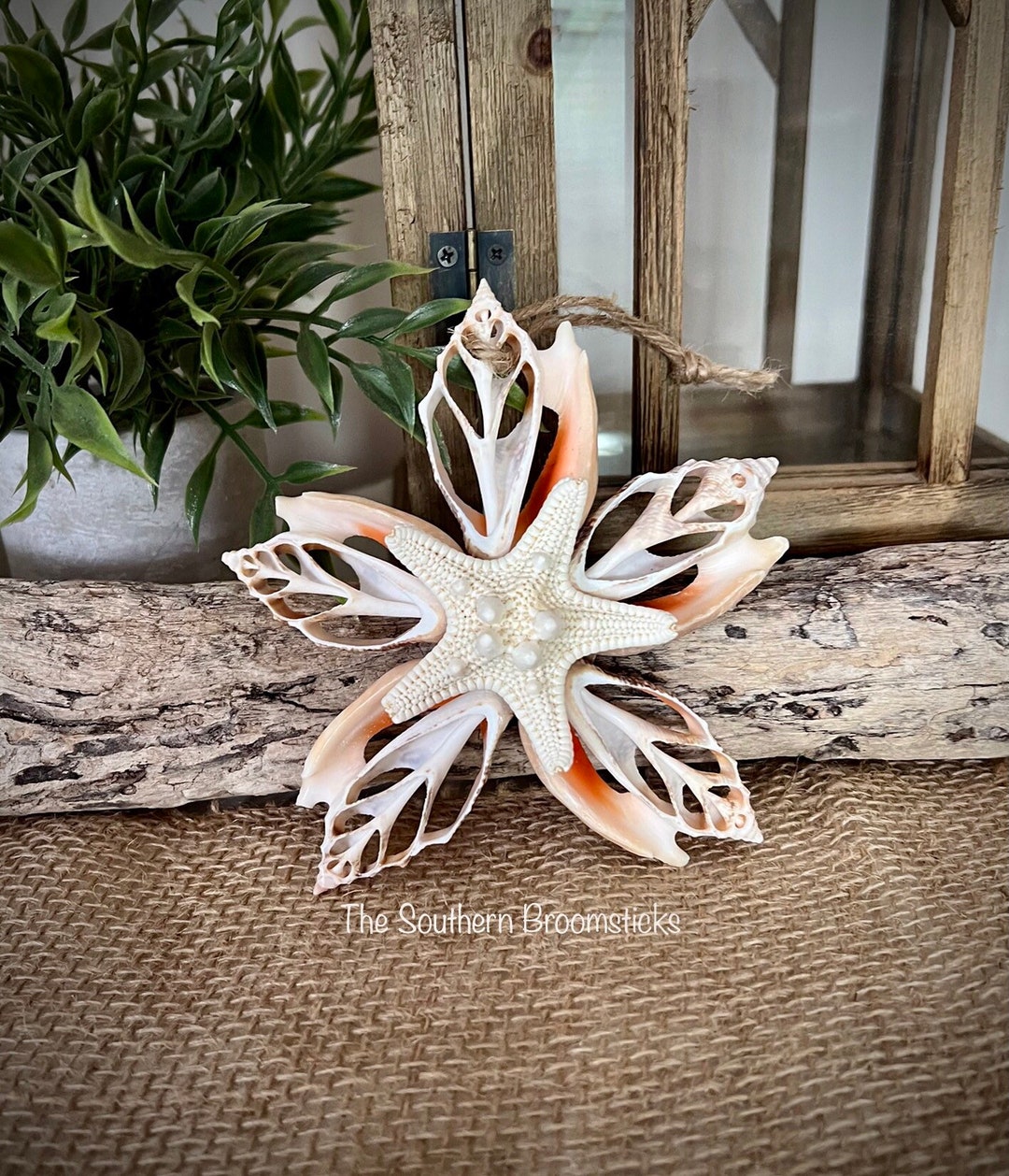 Coastal Seashell Snowflake Starfish Ornament "patrick" - Etsy