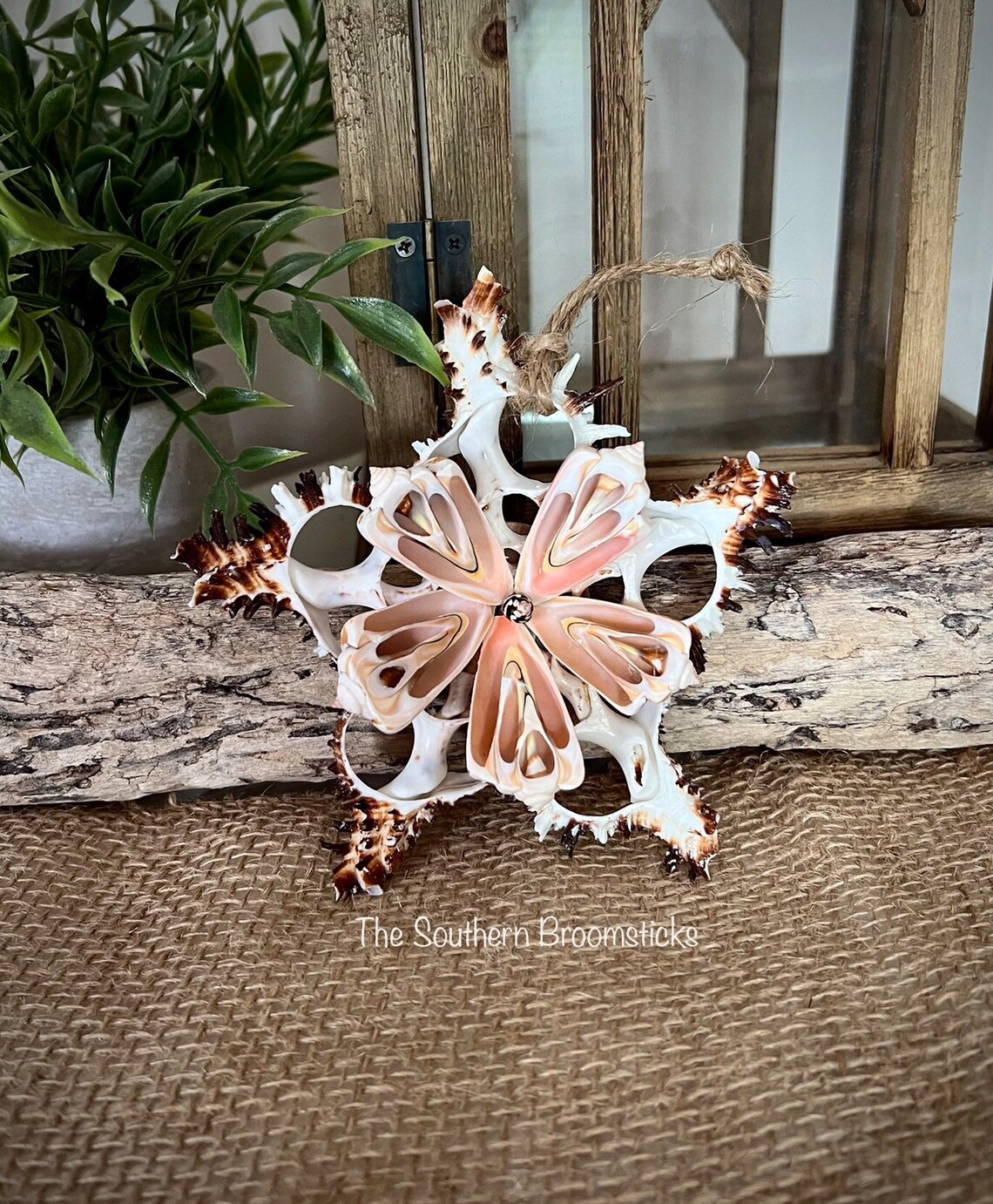 Coastal Seashell Snowflake Star Ornament "cruella" - Etsy