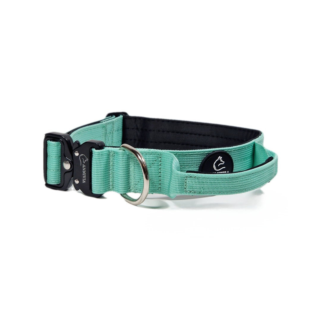 Mint Color Tactical Dog Collars With Handle, Large Black Safe-lock ...