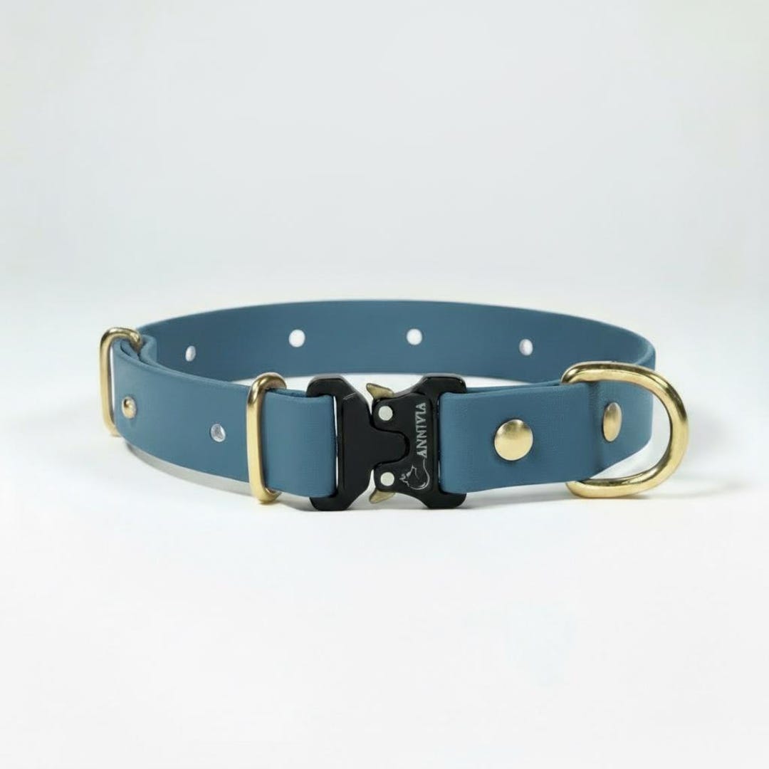 Biothane Gold Elegance Dog Collar: Petrol With Gold Brass Hardware ...
