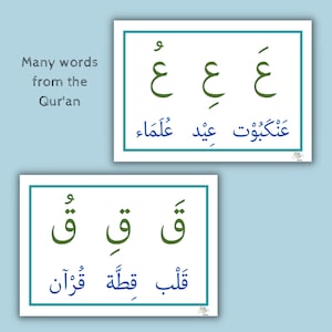 Arabic Alphabet & Quran Reading Vocabulary Fatha Kasra Dhamma ...