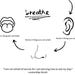 5-4-3-2-1 Grounding Technique Printable | Anxiety Relief Worksheet ...
