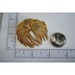 Vintage 1970's Textured Brushed Gold Tone Brooch Pin Costume Estate ...